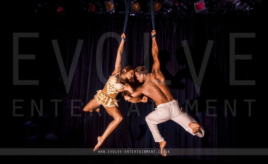 Aerial duo