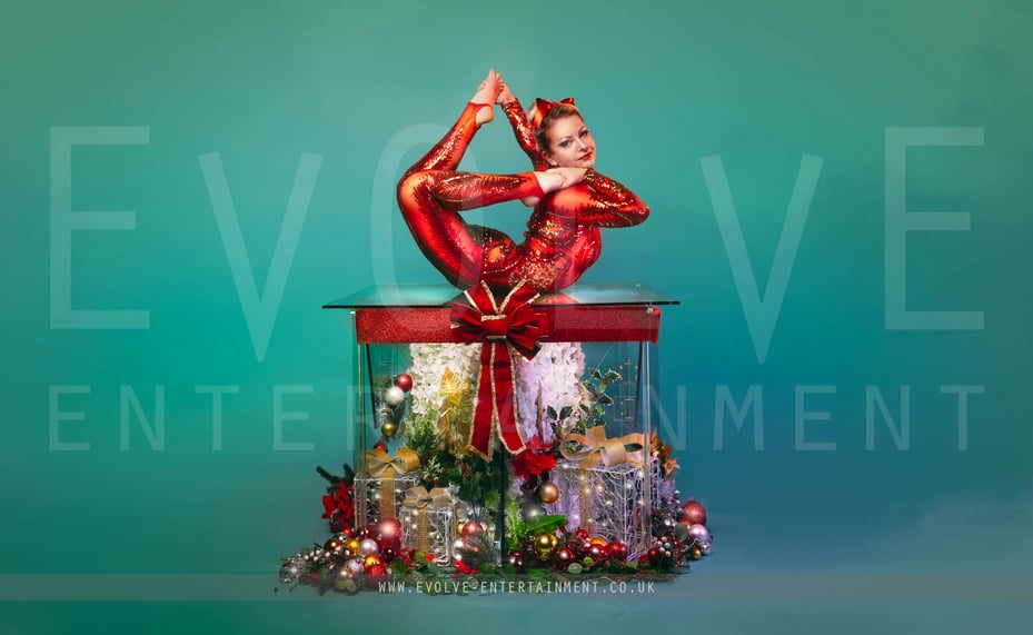Contortion Delights