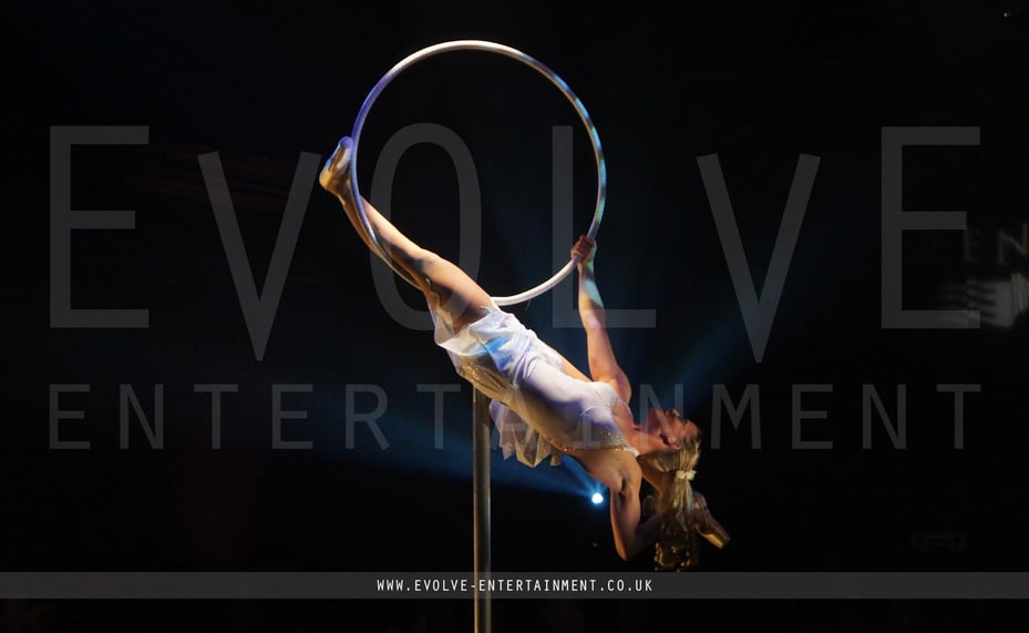 Freestanding Aerial Hoop