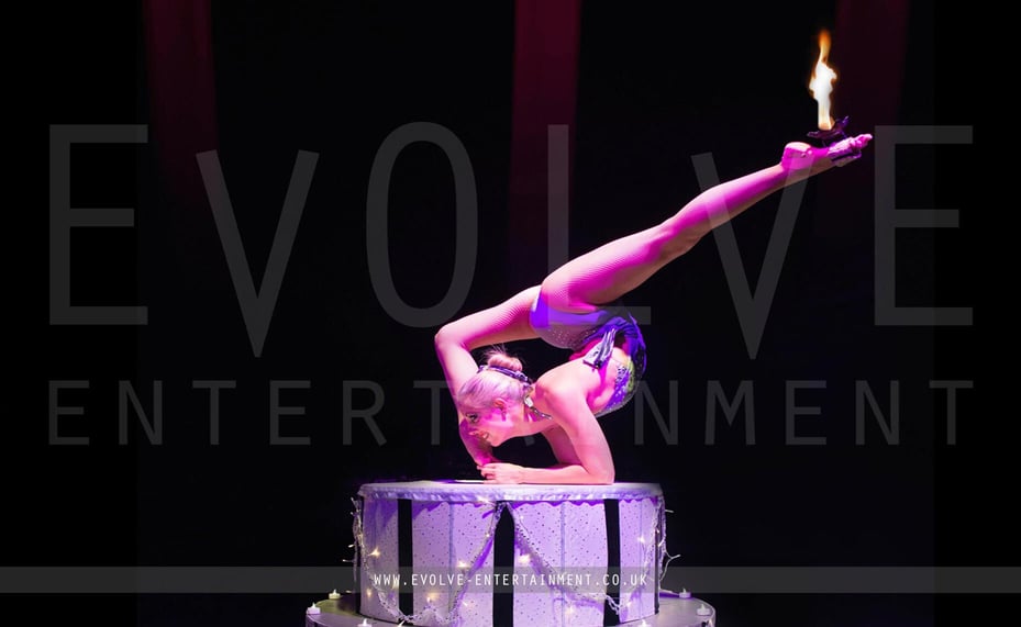 The Contortion cake